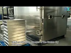 Air Cooled Food Vacuum Freeze Dryer 100 Kg/ Batch Refrigeration High Efficient