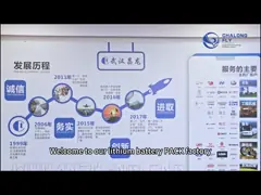 Hunan Chalong Fly Technology Co., Ltd. - LiFePO4 Lithium Battery Pack Factory