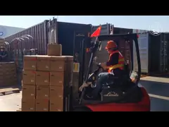 Faster And  Professional Freight Forwarder To Usa From China By Express /Air/Sea