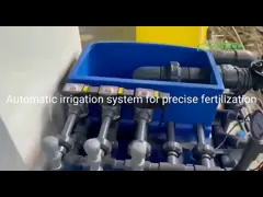 7.5Kw/11Kw Automatic Work Greenhouse Accessories Irrigation System Automatic Fertilizer