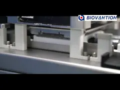 IgG (Ana) 에 대항하는 항체