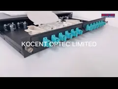 Fix Type Fiber Optical Patch Panel 1U 24 Ports Sc Simplex 19 Inch Rack Mount Distribution Box