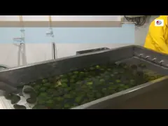 Steam Heating System Production Line Of Avocado Pulp Jam Making Machine