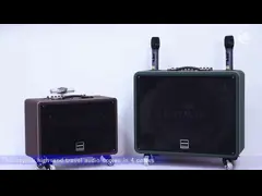 Outdoor Wooden Karaoke Speaker Portable Remote Control With 2 Wireless Mic