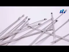 Aisi Ss316 Stainless Steel Cable Tie Ss 201 Ss304 Cold Rolled Flat Shape