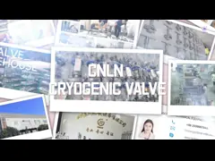 Manual Dn65 Low Temperature Socket Weld Globe Valve For Ln2