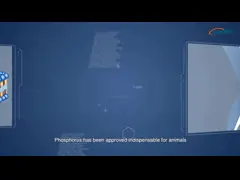 Sunphase Ht Thermostable Phytase Replace Mcp/Dcp In Monogastric Animal Feed