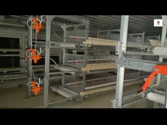 Prefab Steel Structure Breeder Chicken Houses Agricultural Livestock House