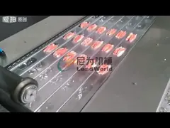 Customization Rice Dried Fruit Vacuum Skin Packaging Machine Industrial Packaging Line