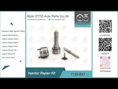 7135-647 Delphi Injector Repair Kit For 28232248 With Nozzle L120PBD