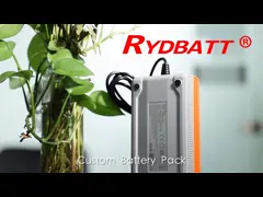 500W Lithium Battery Charger Plug In status indication For Electric Motorcycle