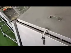 Custom Mushroom Canned Food Production Line Automatic Machines