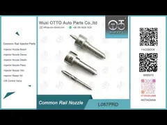L087PBD Delphi Common Rail Nozzle  For Injectors EJBR01401Z/EJBR01701Z