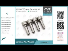 L236PRD Delphi Common Rail Nozzle For Injectors R04201D
