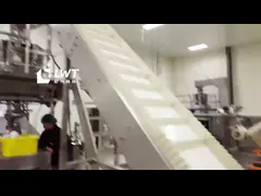 Automatic Bean Bag Production Line Corn Thermoforming Vacuum Packing Machine