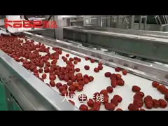 Industrial Dates Processing Machinery Dates Drying Machine 20t/Hr