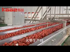 20t/H Dates Processing Line Low Temperature Vacuum Concentrate Dates Processing Machinery