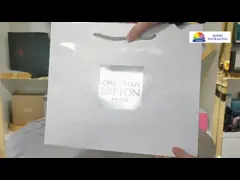 FSC Hot Stamping Logo Paper Gift Bags Packaging Clothing With Handle