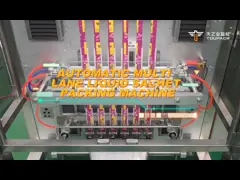 ss sachet packing machine coffee powder sugar honey 2/6/8/16 multi lane back seal packing machine