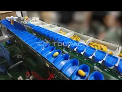 Stainless Steel 304 Automatic Size Sorting Machine For Mango Fruit Vegetables Grading
