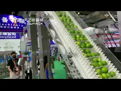 semi automatic net packaging machine green lemon fruit vegetable mesh bag package equipment