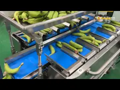 factory industry semi auto mesh net bag weighting counting netting clipping packing packaging machin