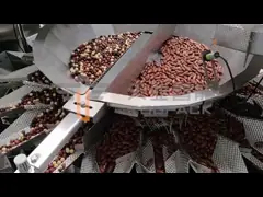 IP65 Granules Multihead Weigher 32 Heads Mixture Automatical Weighing Scale