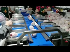 pear apple weighing fruit combination scale 12 head hand loading weighing machine