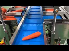 semi auto carrot weighing and packaging machine vegetable mesh bag packing machine