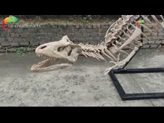 sunproof resin dinosaur skeleton gasosaurus skull