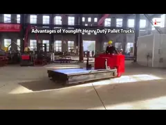 non standard electric vehicle mover 1000kg side lift truck four way walk