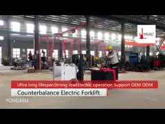 non standard electric balanced forklift lift height 3000m lithium battery 25.6v 160ah