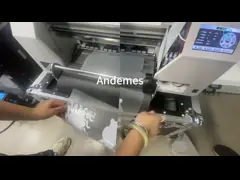 モデル A3 ミニスタンパー dtf Von 13 Zoll com Farbstaubschüttler com due Köpfen xp600