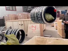 Einzelner Bereich-Gummidehnfuge-Flanschart Bändchen EPDM
