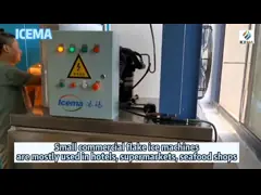 Piccola fabbrica del ghiaccio del fiocco della macchina per ghiaccio del fiocco della macchina del ghiaccio d'acqua dolce commerciale del fiocco per uso dell'hotel