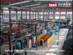 XLPE Insulated Power Cable Stranded Conductor Class 1/2 for -40C- 90C Temperature Range and XLPE Insulation Material