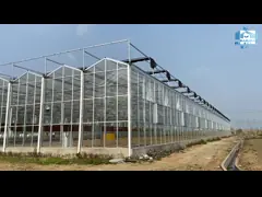 Personalizzabile Alta Durabilità Multispan Resistente alle piogge in serra