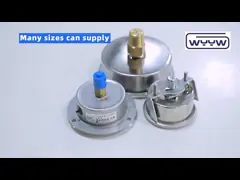 Dry SS304 Bourdon Sedeme Pressure Gauge Back Connection 4 Size