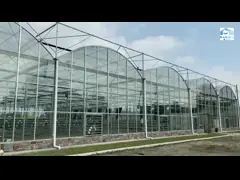 Sistema oscurante Serra in policarbonato Serra per PC a privazione della luce