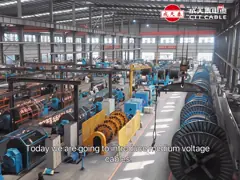 Τρεις πυρήνες μεσαίας τάσης θωρακισμένο καλώδιο ηλεκτρικής ενέργειας CU/XLPE/Ατσάλινες ταινίες μετρημένες/PVC