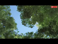 china electric car byd song l ev 550km beyond 5 door 5 seat suv