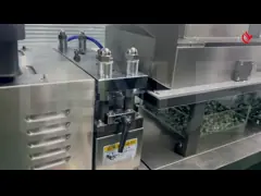 OEM Automatic Blister Blister Forming Machine