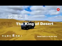 the king of the desert-4x4 desert tourist vehicle