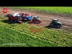 Pasta di pomodori ISO-Zertifikat avec un Brix de 36 à 38% plus haute Qualité, prodotta con il metodo des kalten Bruchens