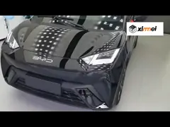 2025 305km freedom edition byd new energy electric vehicle seagull 4 seaters