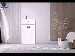 49.2kWh sistemi domestici di immagazzinamento dell'energia Lifepo4 del blocco alimentatore delle batterie portatili residenziali del cammello