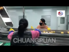 1-50T/H Linea di trasformazione di succo di frutta di carota e pera