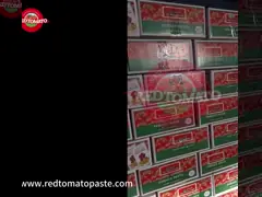 56g Sachet Tomato Paste Stand Up Pouch Triple Concentrated 30%-100% Purity