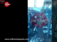 OEM Triple Concentrated Tomato Paste 100g Stand Up Sachet 30%-100% Purity