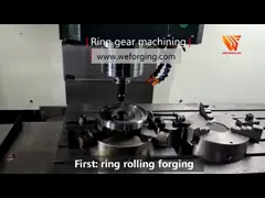 Electric Strand Aotomative Product Assembly ODM Gear Forge OEM Planet Group Reducer Customized Ring Gears